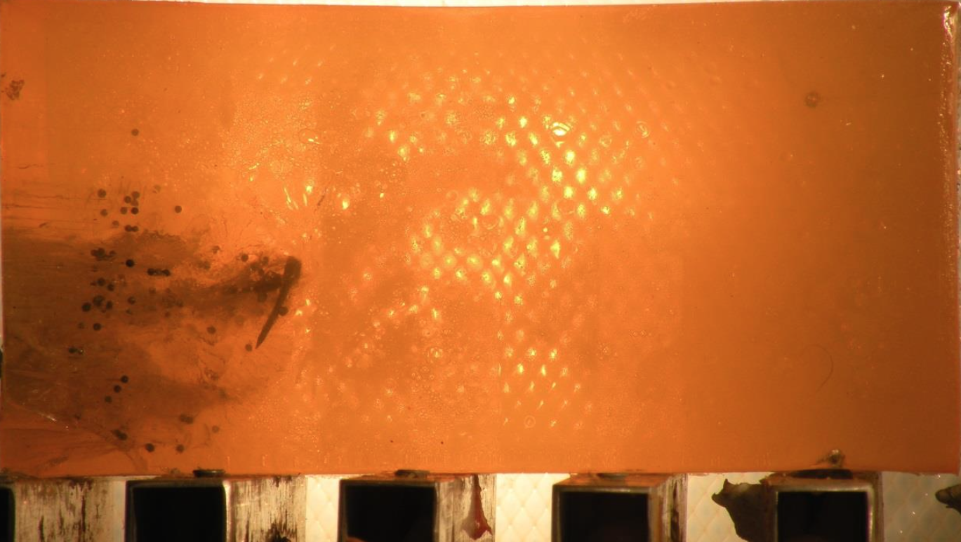 Exotic 12 Gauge Shotgun Ammunition Performance Summary