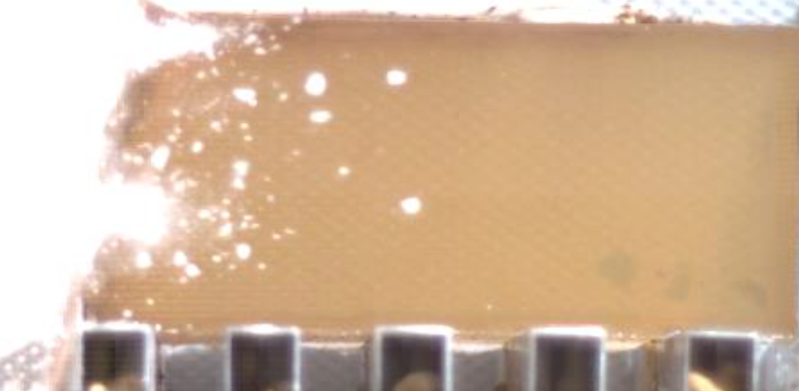 Exotic 12 Gauge Shotgun Ammunition Performance Summary